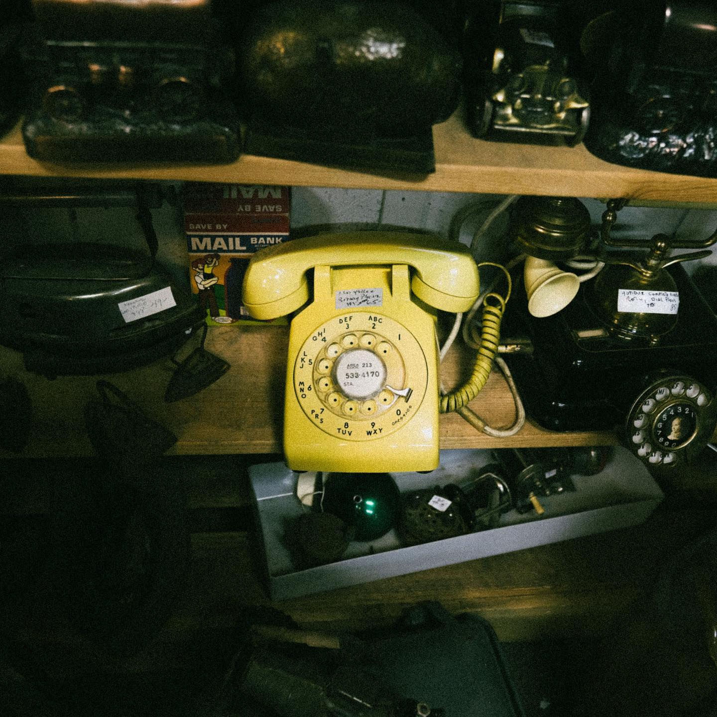 Juniper Honey deeply crushes our hearts with “Why Did You Call?”